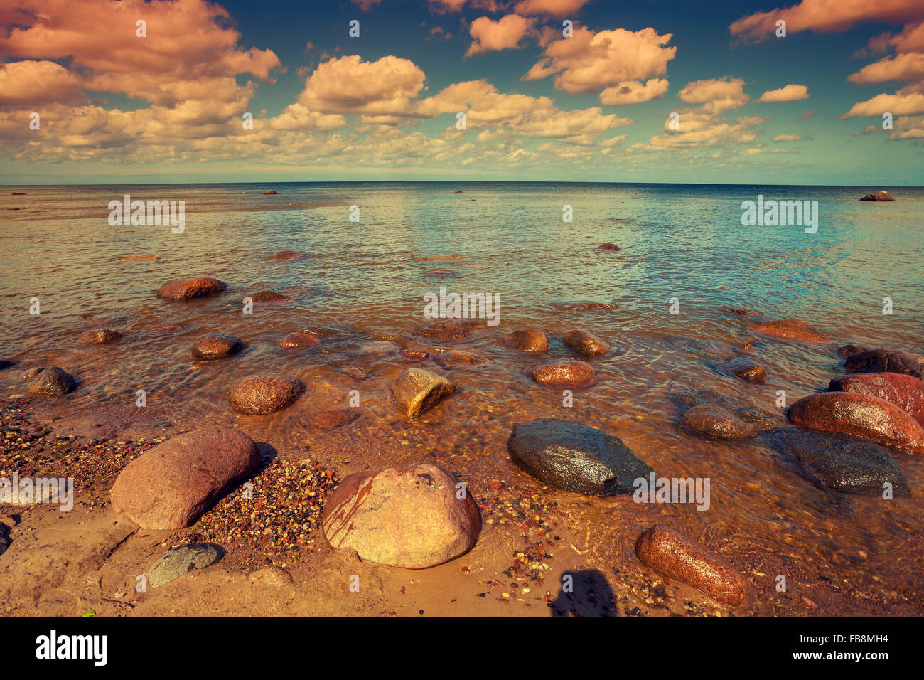 Baltic sea coast Stock Photo - Alamy