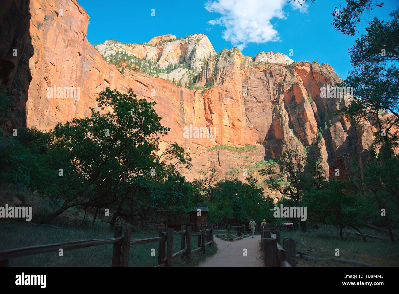 Big Rocks formation in Zion National Park Stock Photo - Alamy