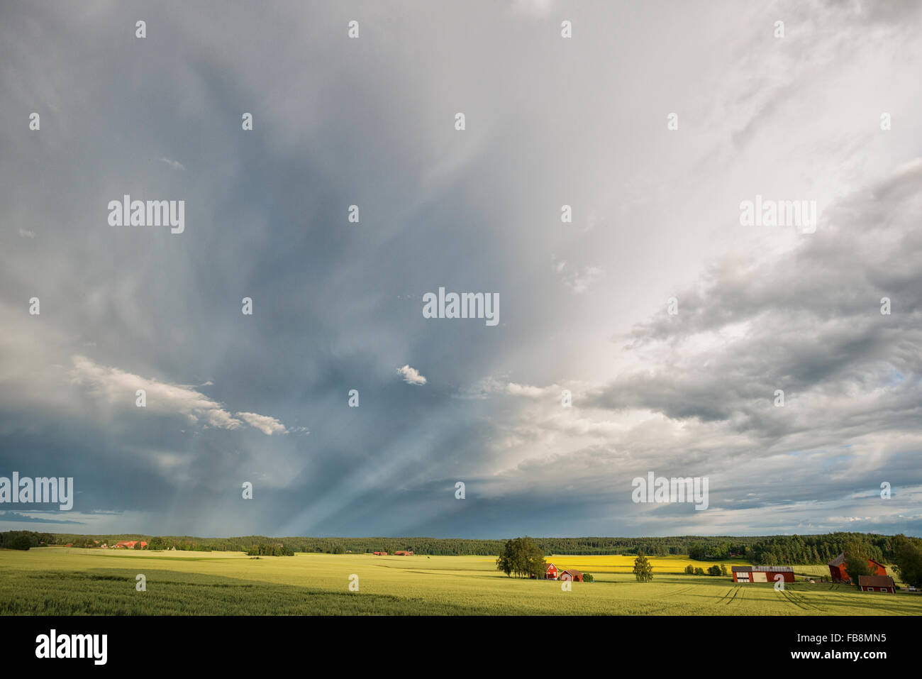 Sweden agriculture landscape hi-res stock photography and images - Alamy