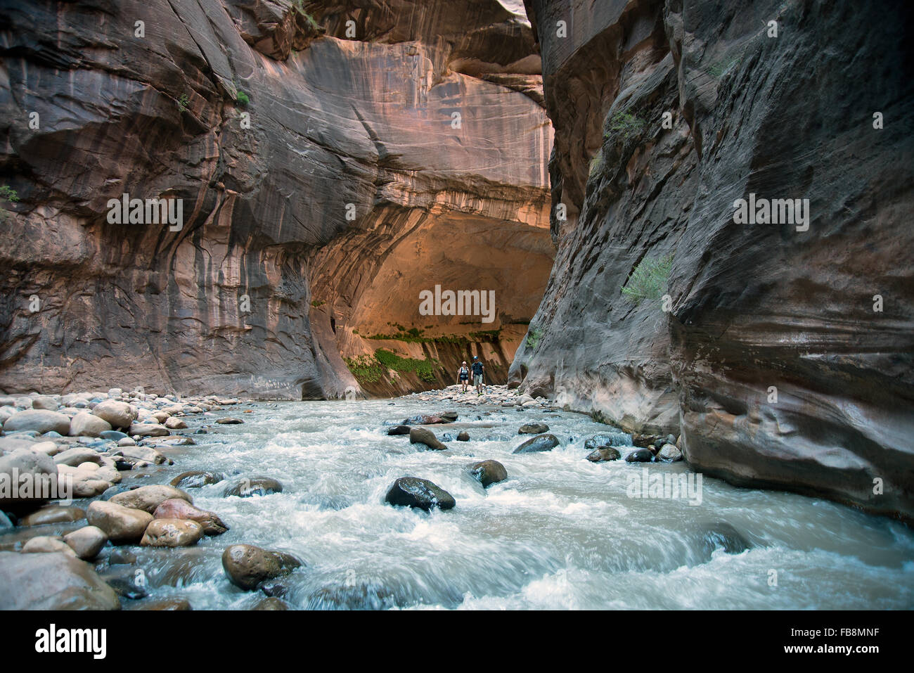 Narrow at Virgin River,Zion National Park,Utah,USA Stock Photo - Alamy