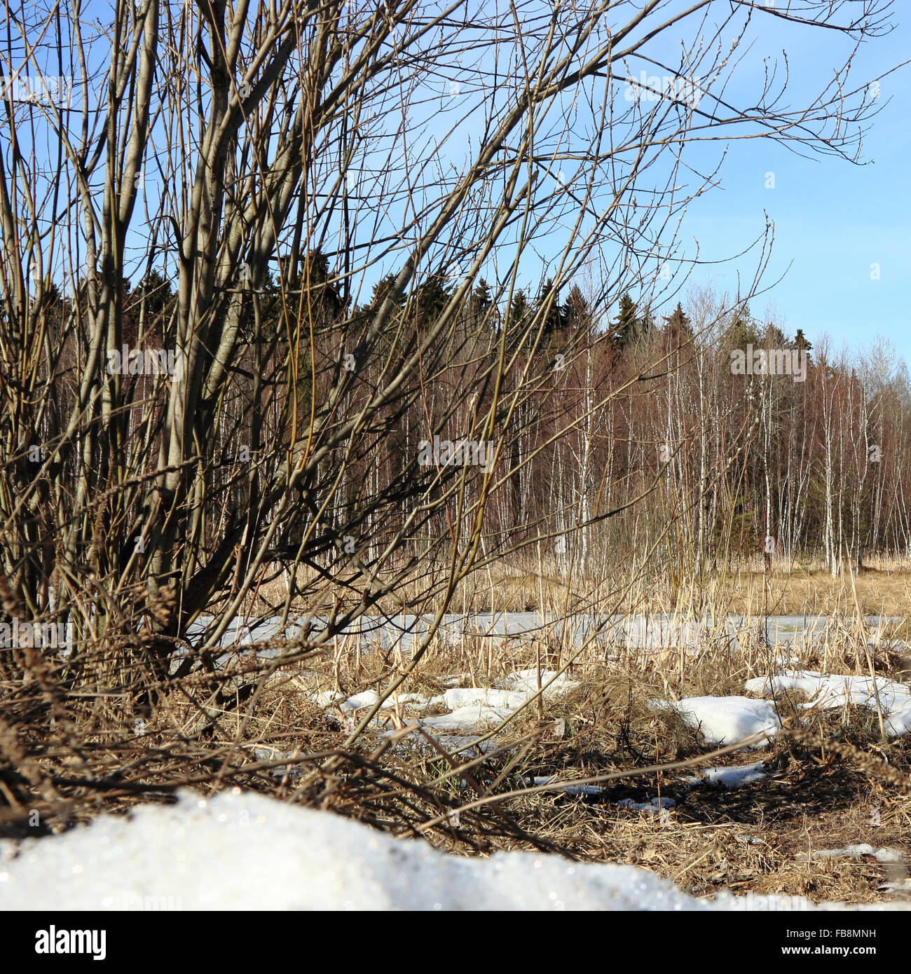 Ozero hi-res stock photography and images - Alamy