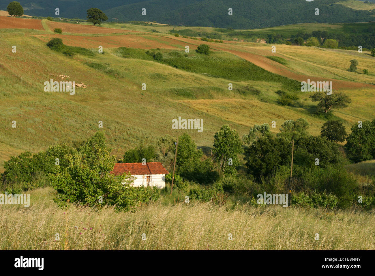 Turkey countryside hi-res stock photography and images - Alamy