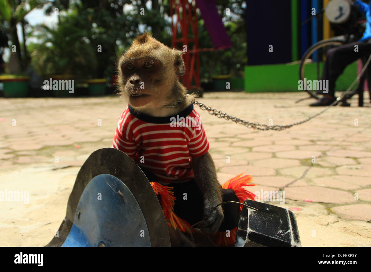 Topeng monyet hi-res stock photography and images - Alamy