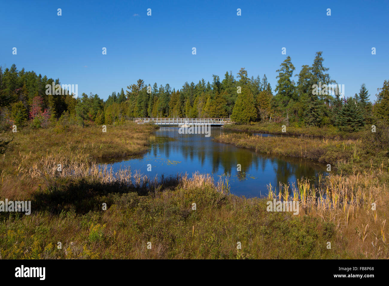 Shingleton Lakes, Upper Peninsula, Michigan Stock Photo - Alamy