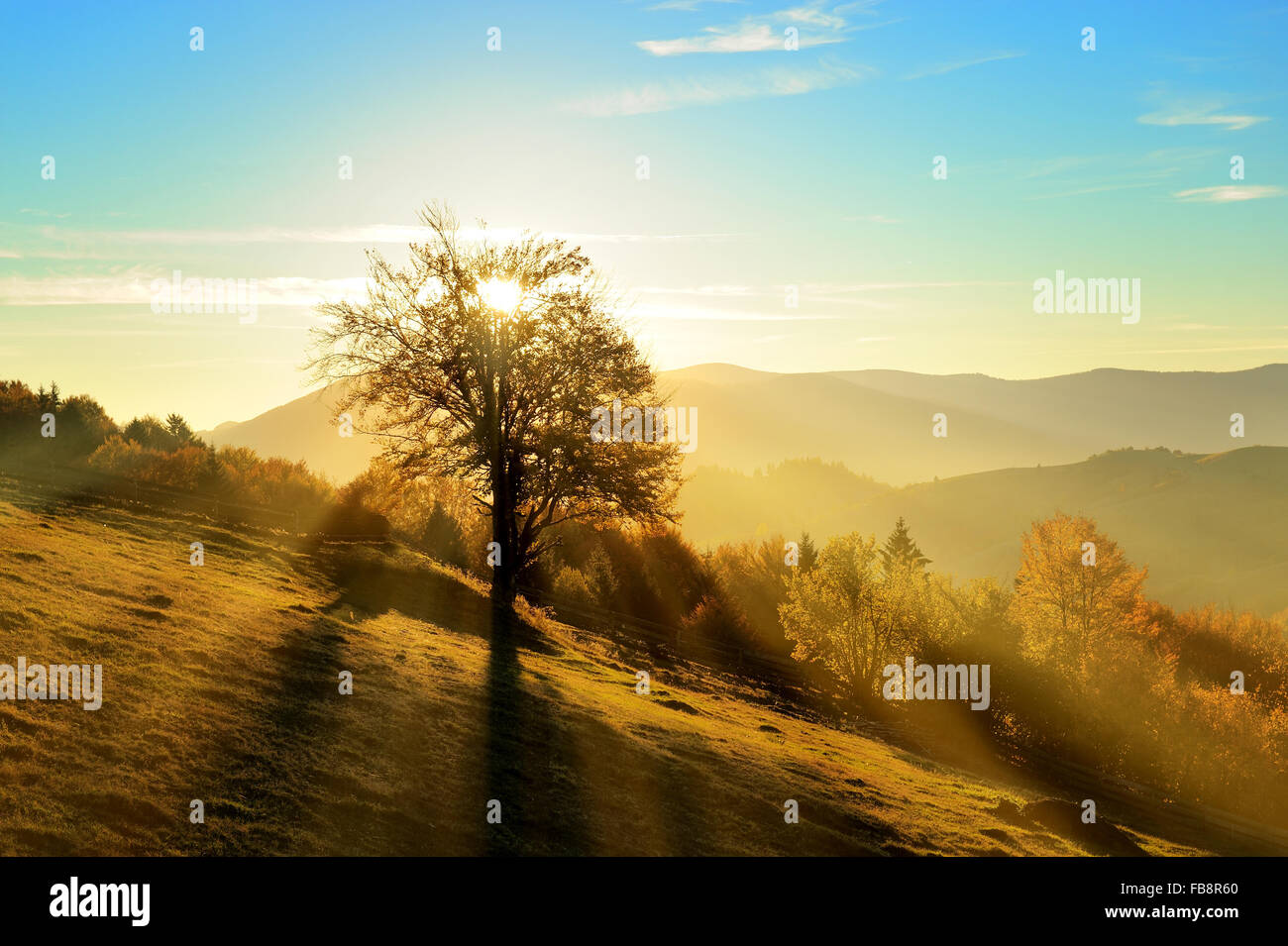 Mountain autumn landscape with colorful forest Stock Photo - Alamy