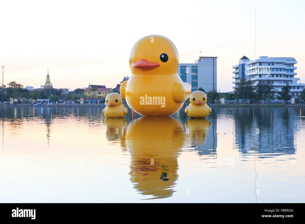 Giant rubber duck harbor hi-res stock photography and images - Alamy