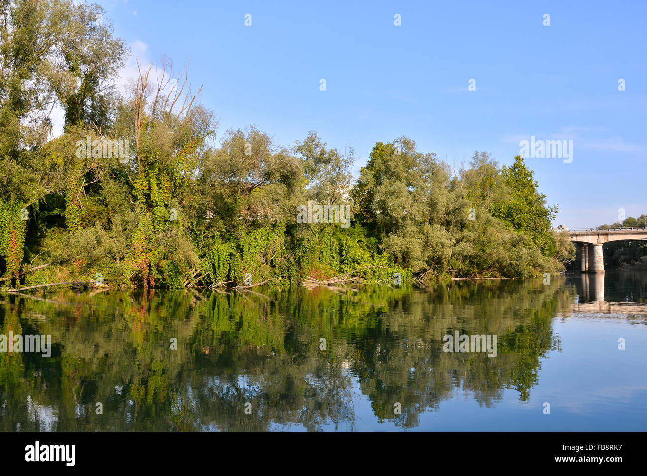 Wild Brenta River Stock Photo - Alamy