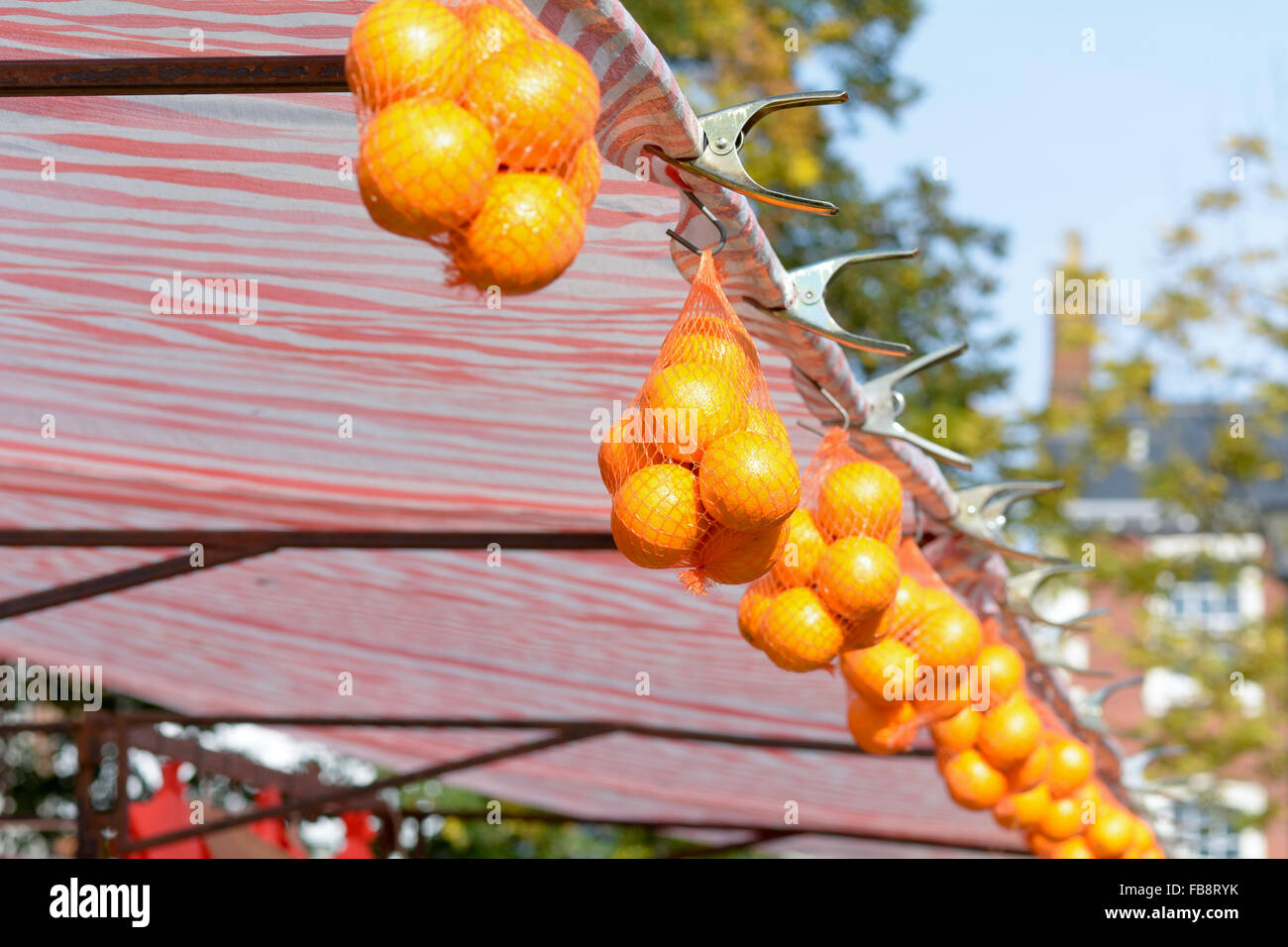 Hanging fruit bags hi-res stock photography and images - Alamy
