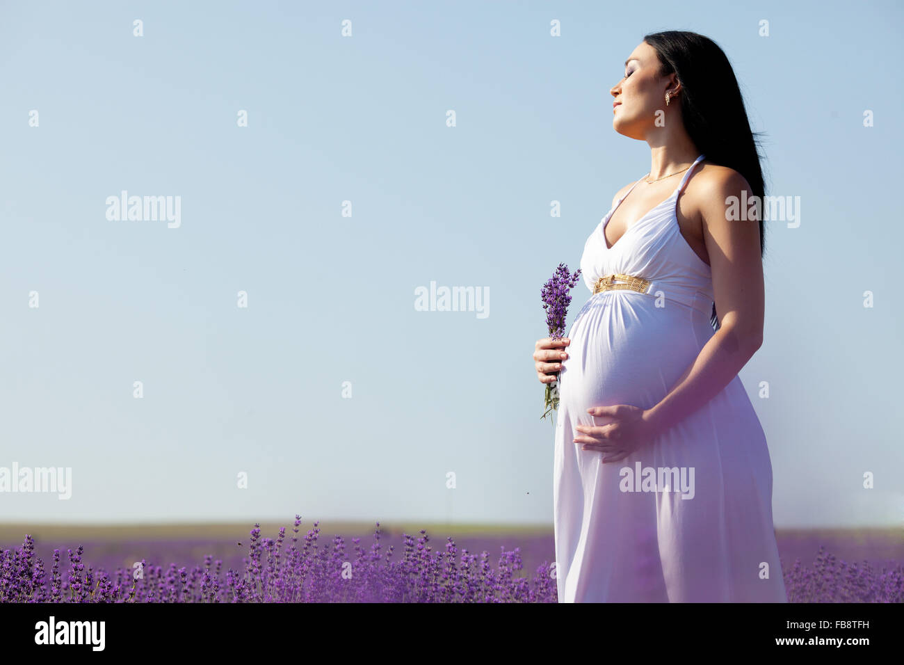 Portrait in lavender Stock Photo - Alamy