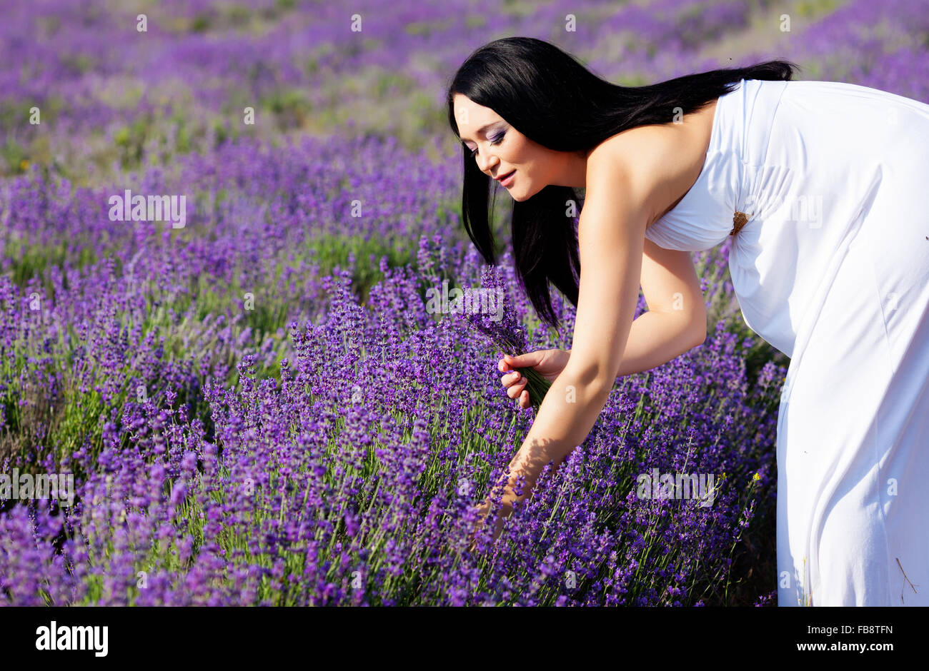 Portrait in lavender Stock Photo - Alamy