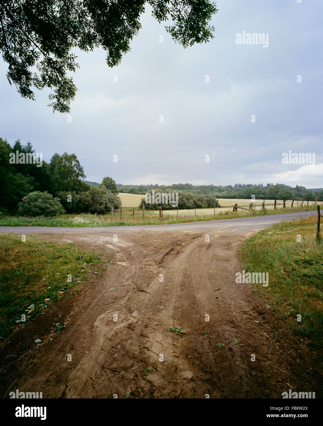 Road in rural village Stock Photo - Alamy