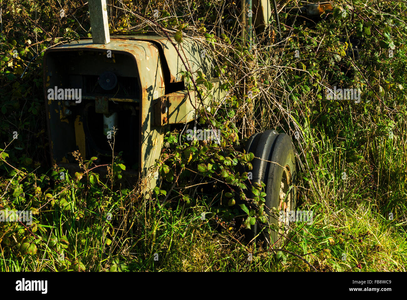 Overgrown old farm equipment hi-res stock photography and images - Alamy