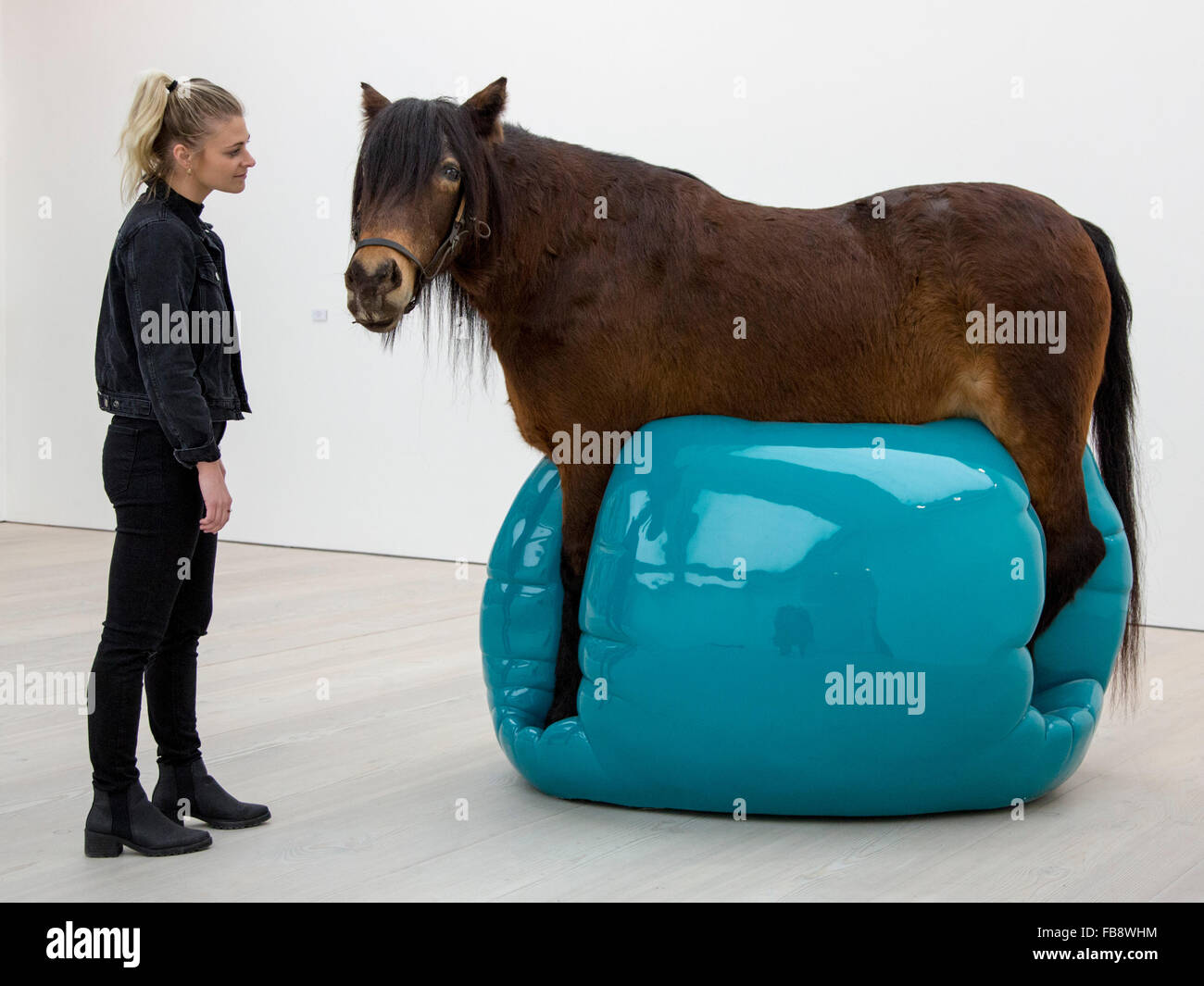 London, UK. 12 January 2016. Moje Sabz, 2011, taxidermy, fibreglass ...