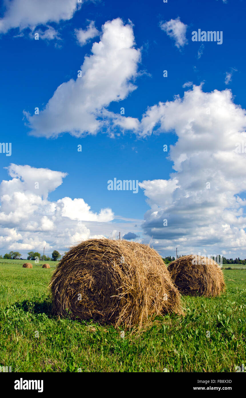 Haystacks in the pasture on sunny cloudy day on summer Stock Photo - Alamy