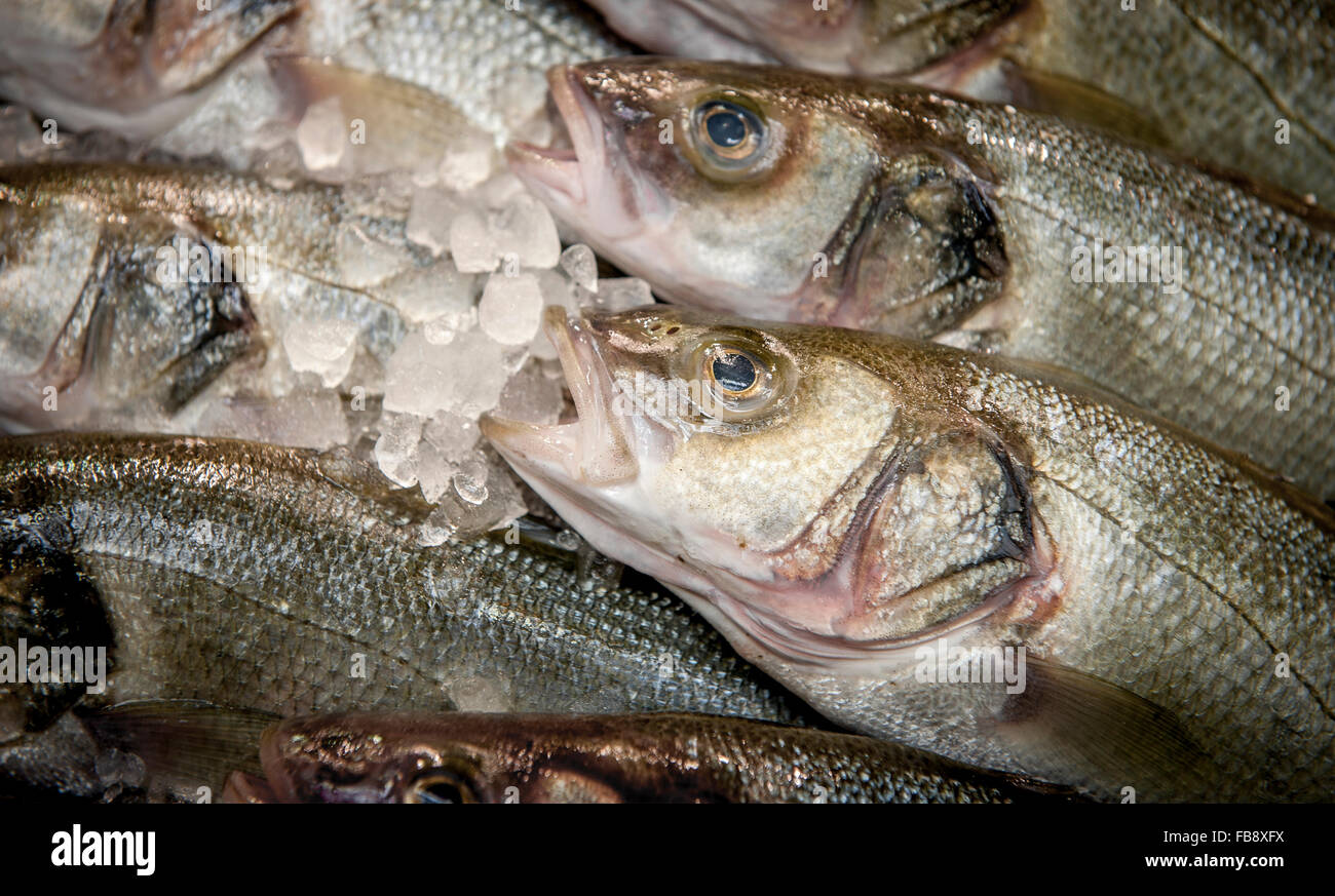 Fishmongers shop hi-res stock photography and images - Alamy