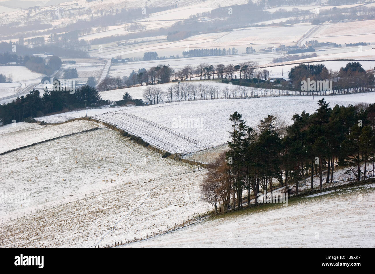 Insch landscape hi-res stock photography and images - Alamy