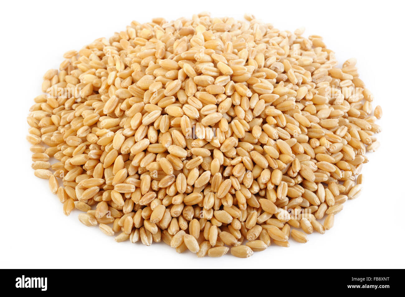 Rice wheat barley grains Cut Out Stock Images & Pictures - Alamy