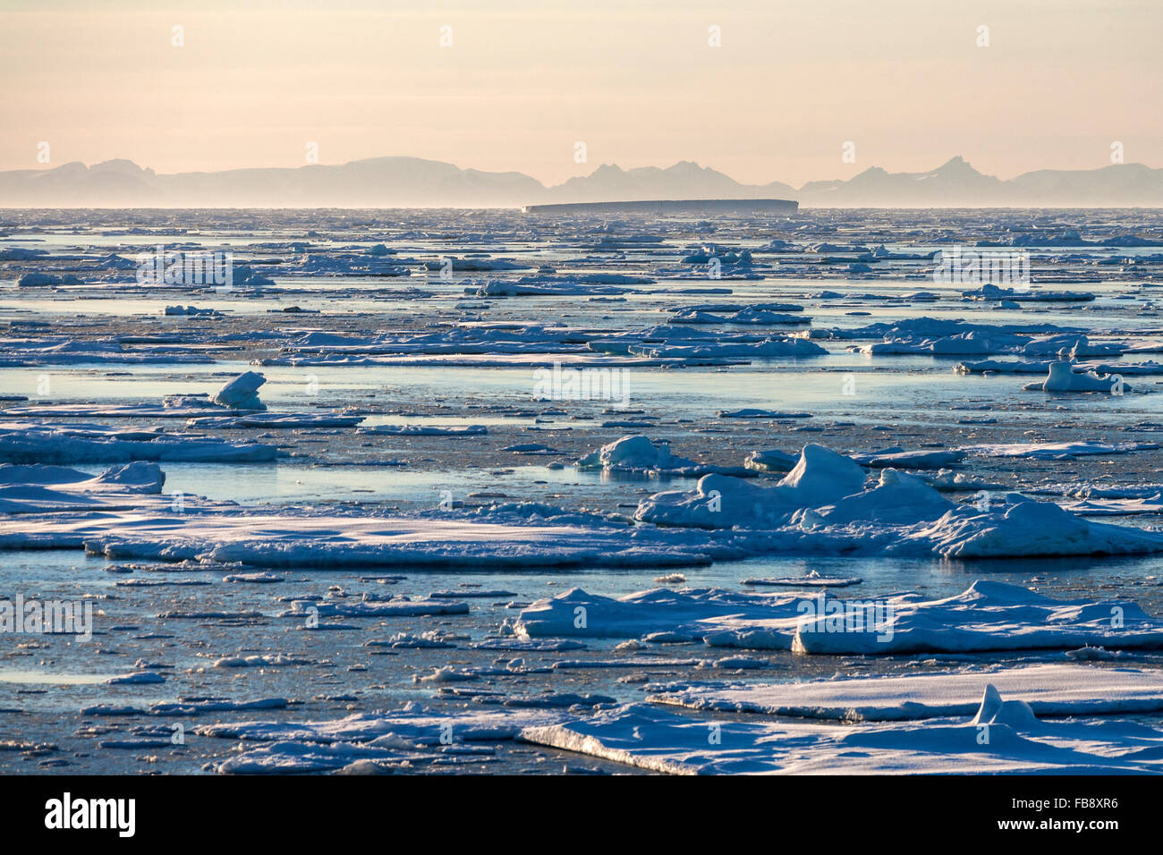 Melting sea ice off hi-res stock photography and images - Alamy