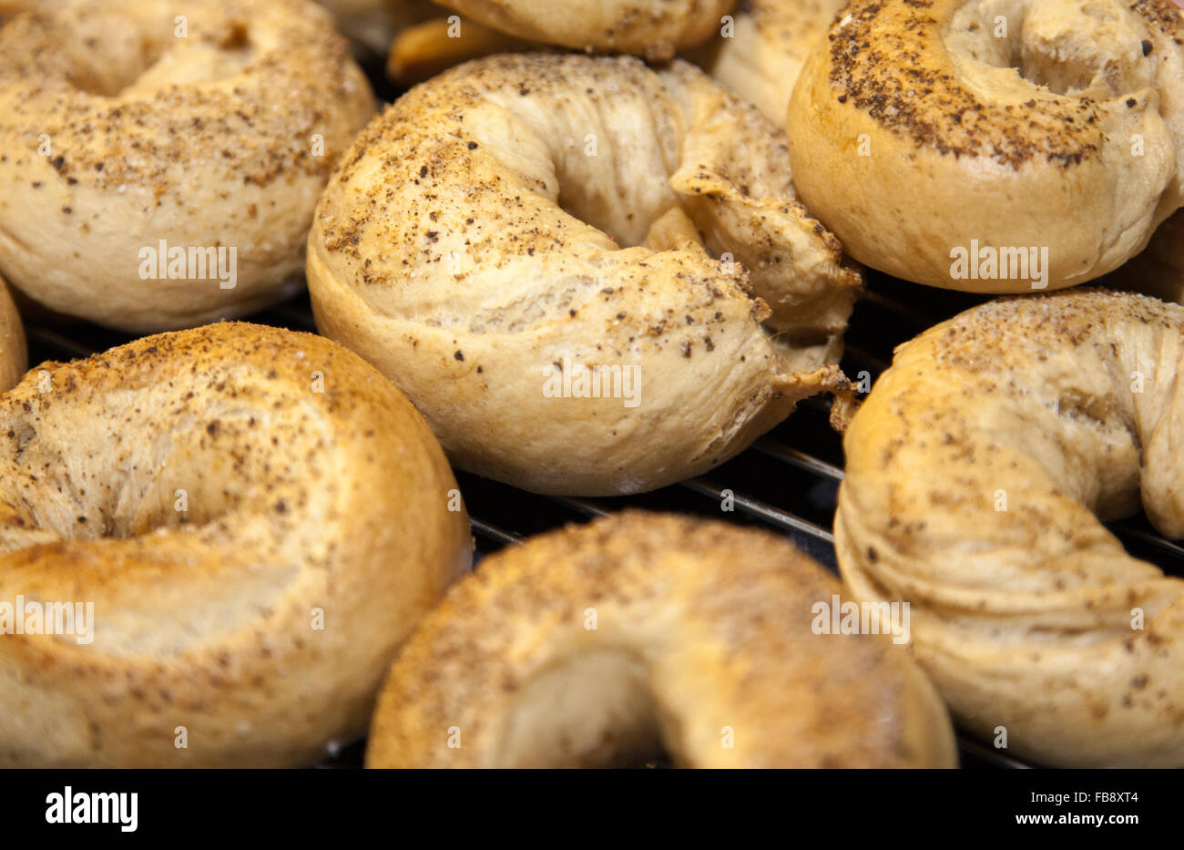 Everything bagels on cooling rack, Spread center with white background ...