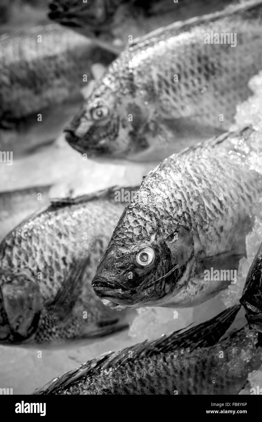 Fishmongers shop hi-res stock photography and images - Alamy