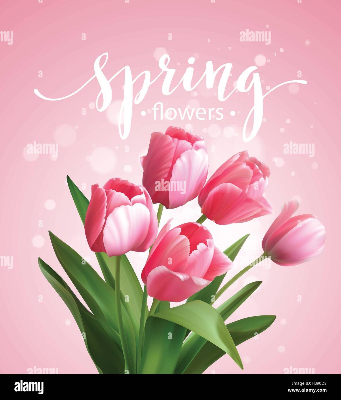 Spring text with tulip flower. Vector illustration Stock Vector Image ...