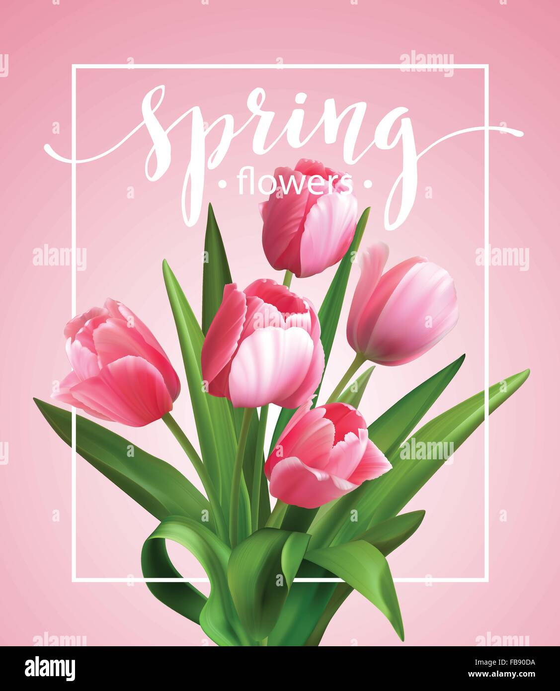 Spring text with tulip flower. Vector illustration Stock Vector Image ...