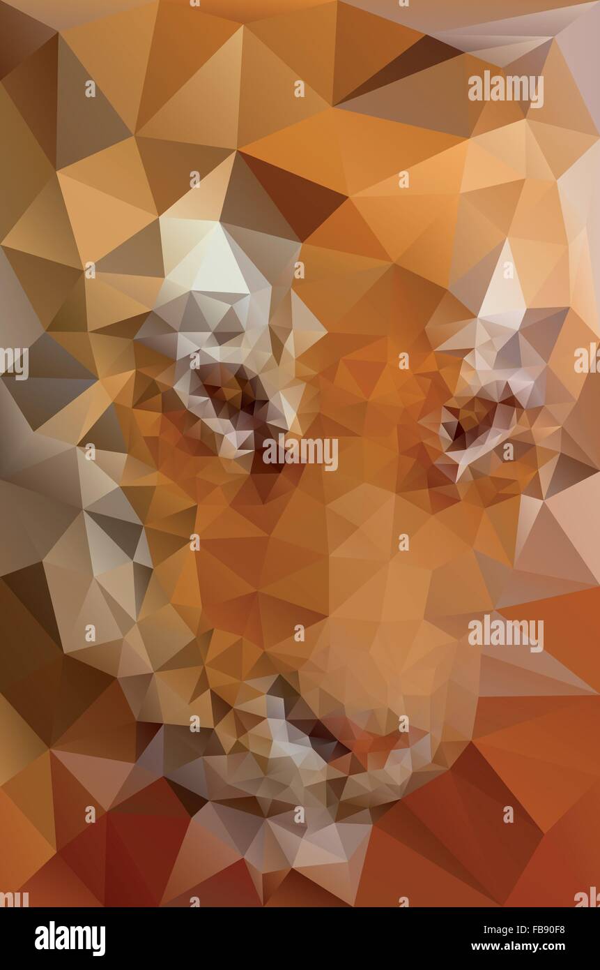 Low Poly Tiger Face Vector Illustration Stock Vector Image & Art - Alamy