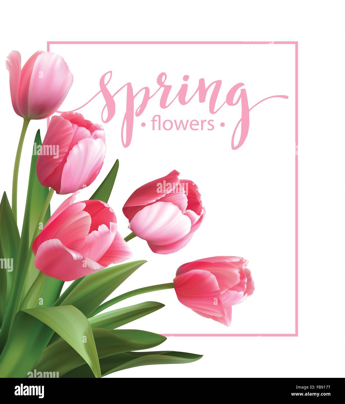 Spring text with tulip flower. Vector illustration Stock Vector Image ...