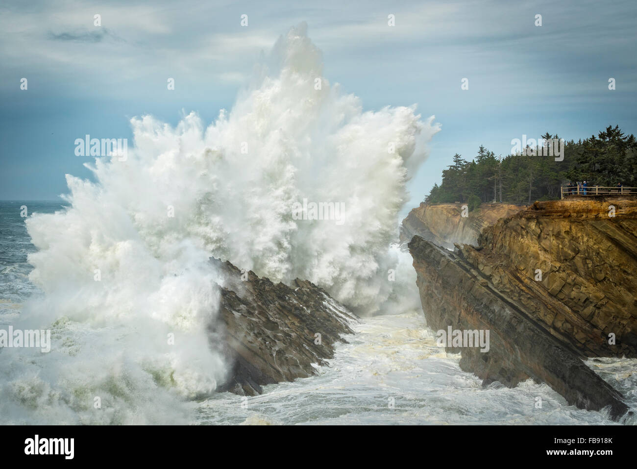 Storm surf at Shore Acres State Park, Oregon Coast Stock Photo - Alamy