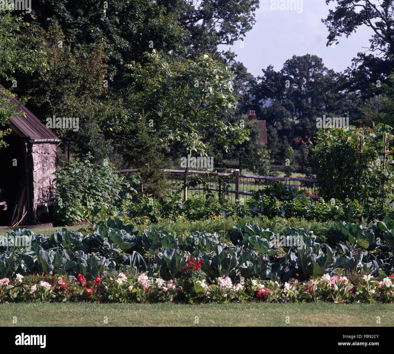 Country vegetable garden hi-res stock photography and images - Alamy