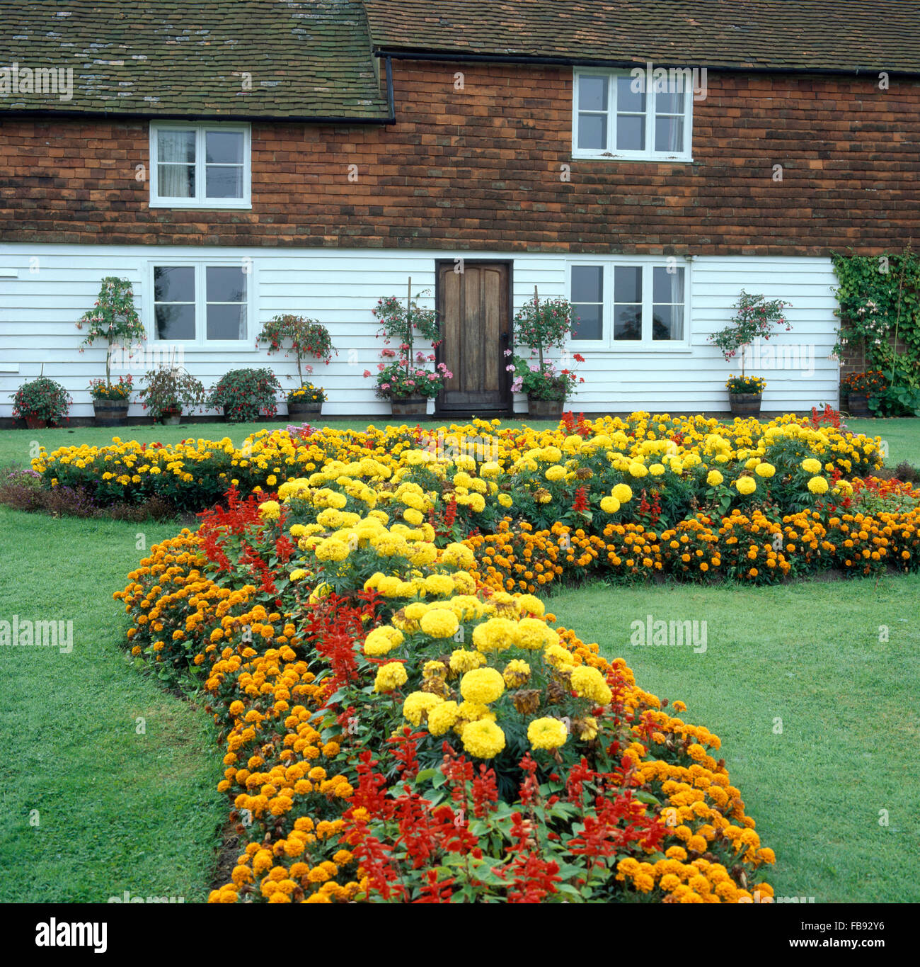 Marigold Flower Bed Borders