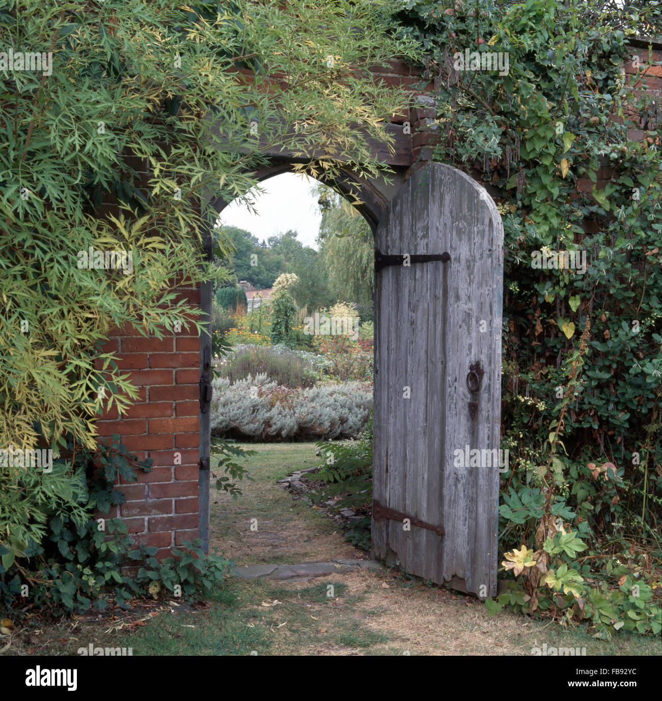 Walled garden with an open wooden door with a view of a large garden ...