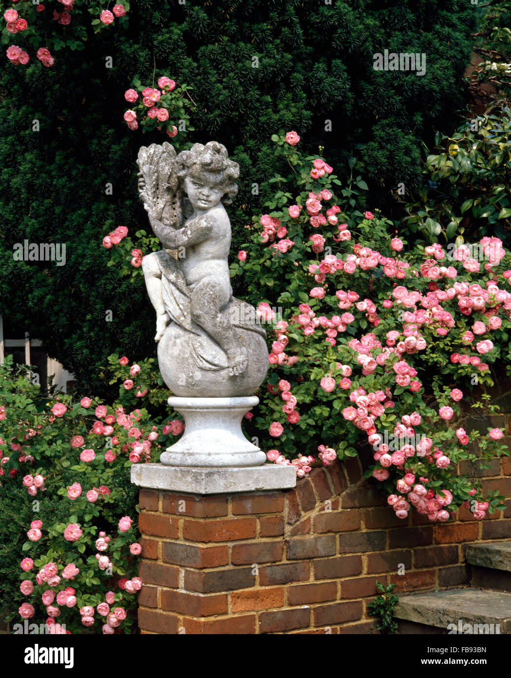 Pink climbing roses on stone hi-res stock photography and images - Alamy