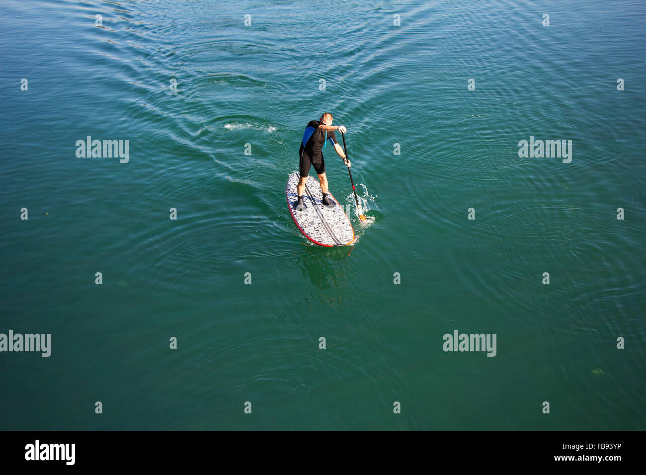 Stand up paddle board man paddleboarding on tranquil lake Stock Photo ...