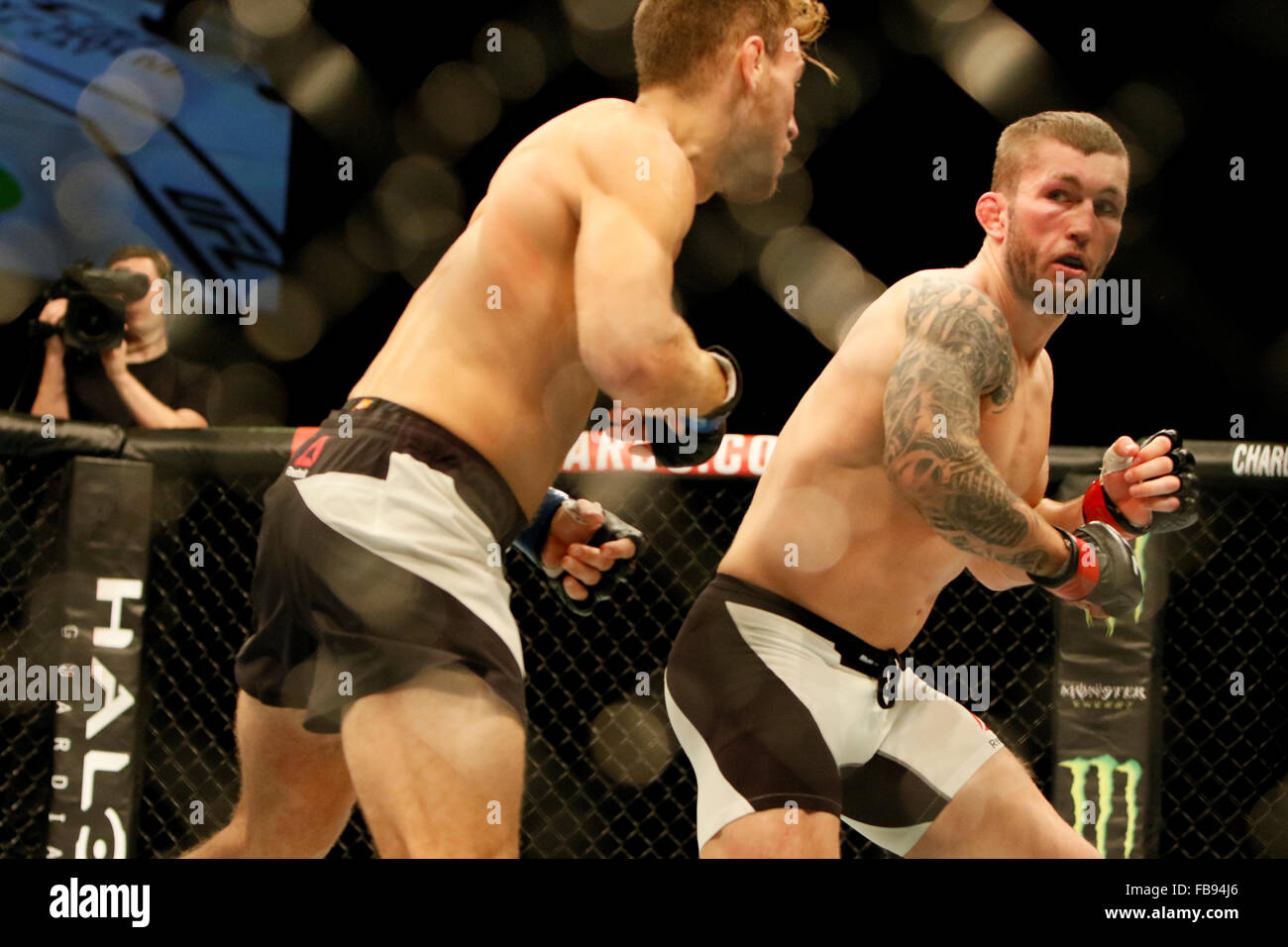 O cage hi-res stock photography and images - Alamy