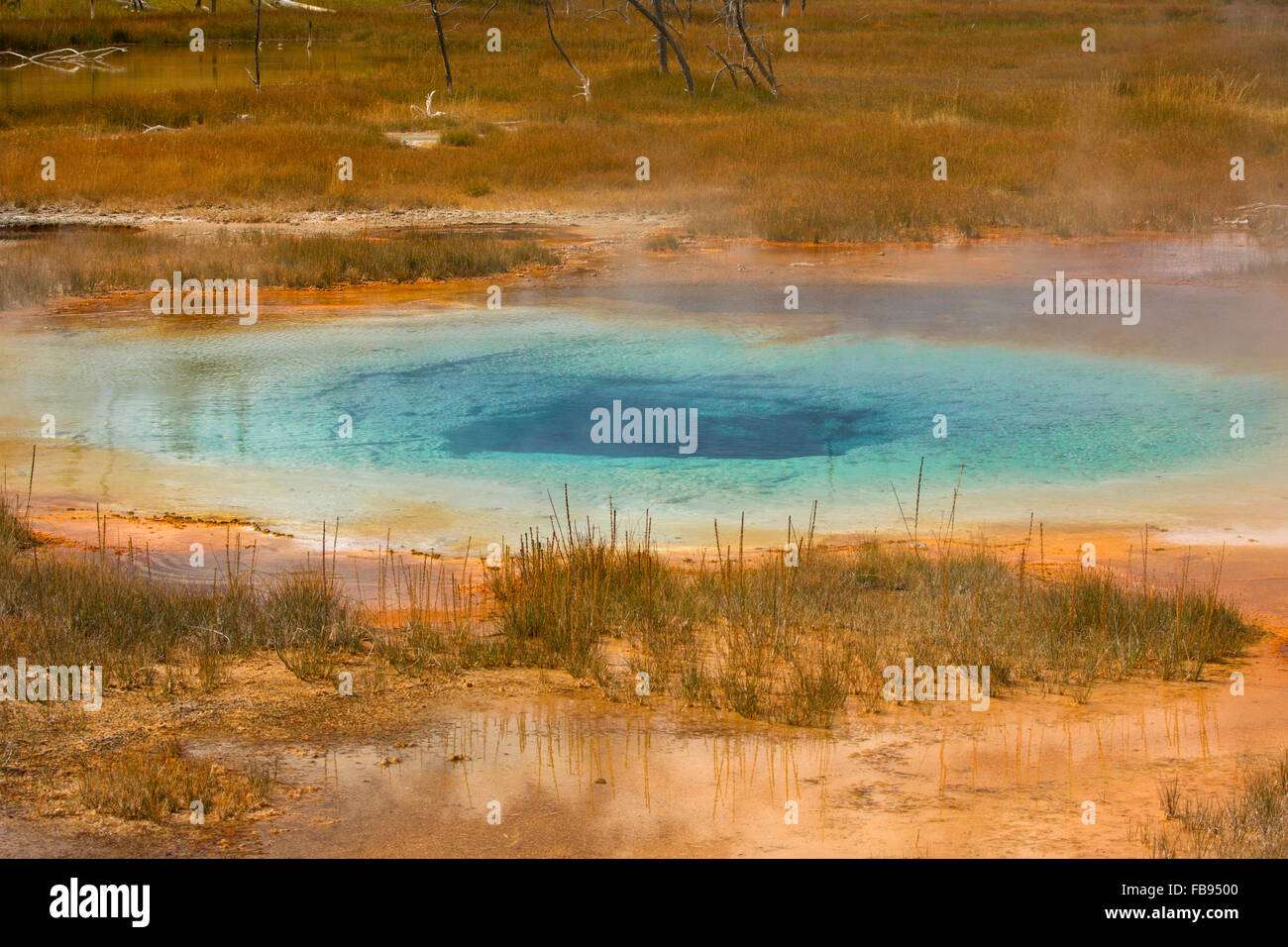 Colorful, steaming orange and blue water in grasslands of a hot springs ...