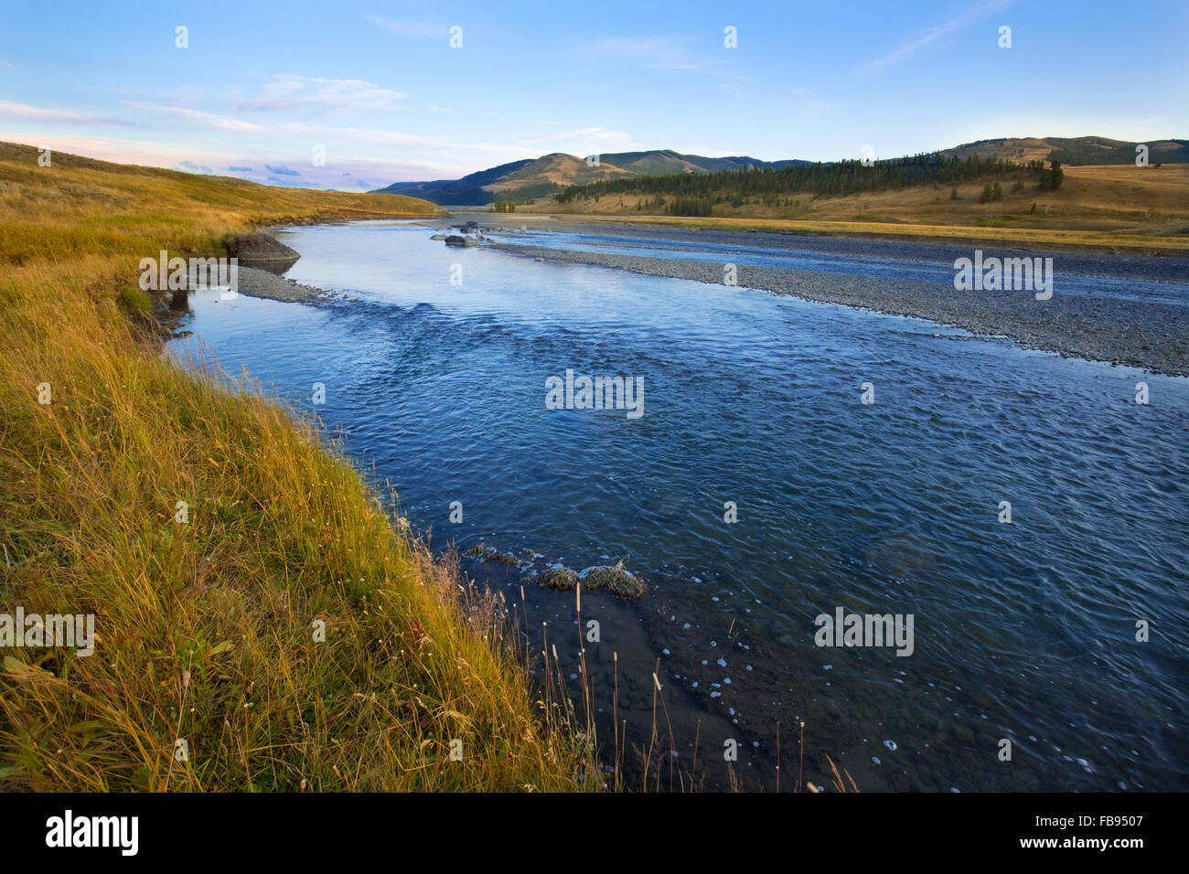 The Lamar River flows through grasslands of the Lamar Valley in late ...