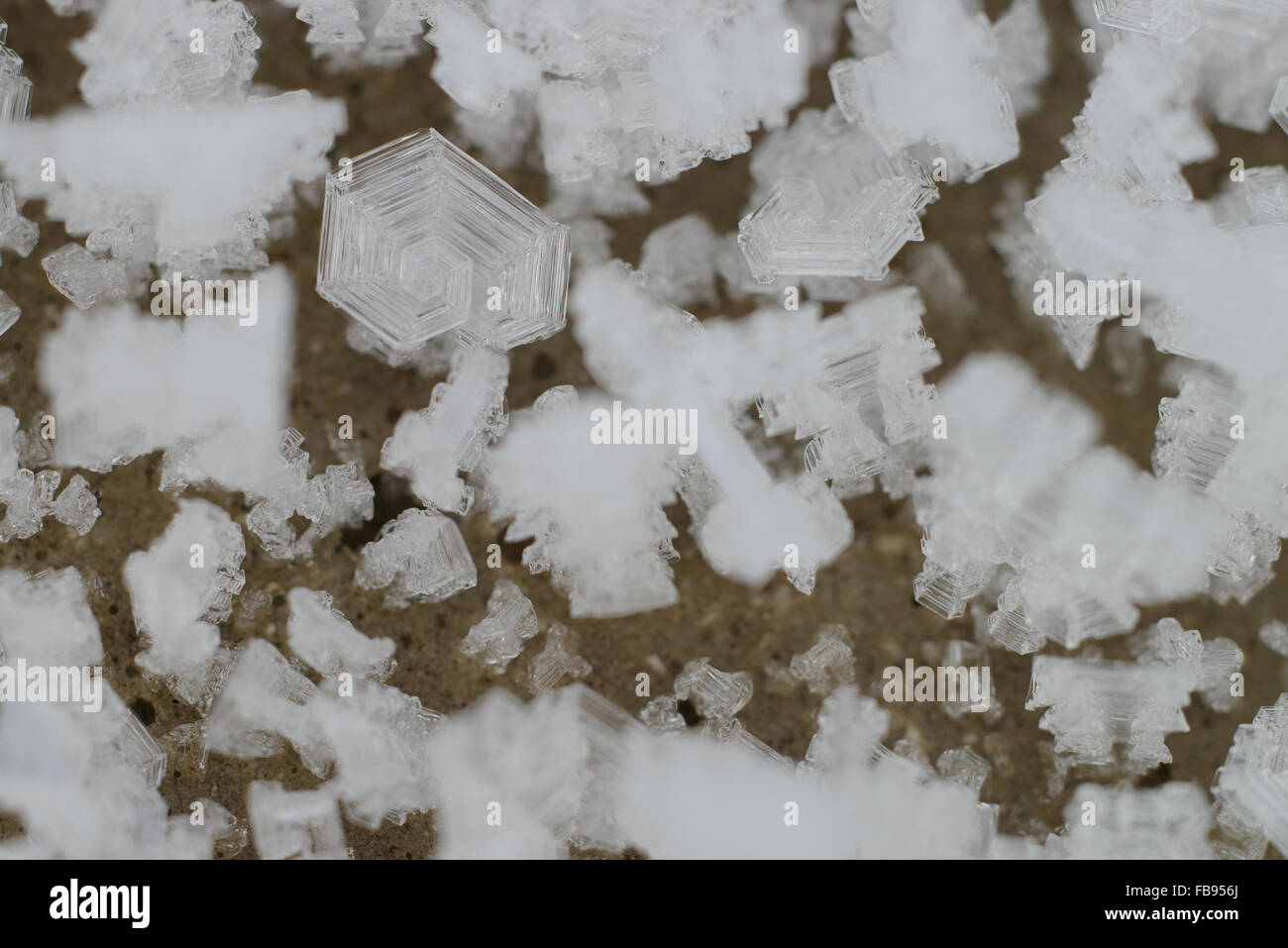 Macro Raureif | hoar frost Stock Photo - Alamy