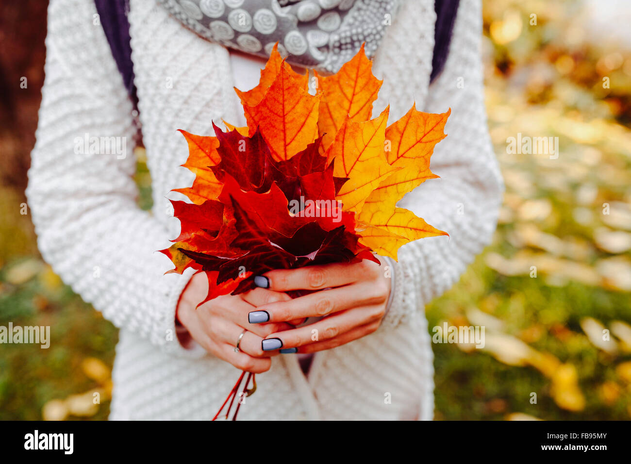 Autumn leaves in girl hands Stock Photo - Alamy