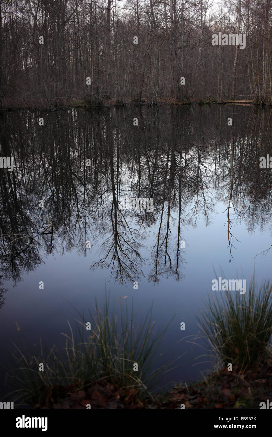 Quentin lake hi-res stock photography and images - Alamy