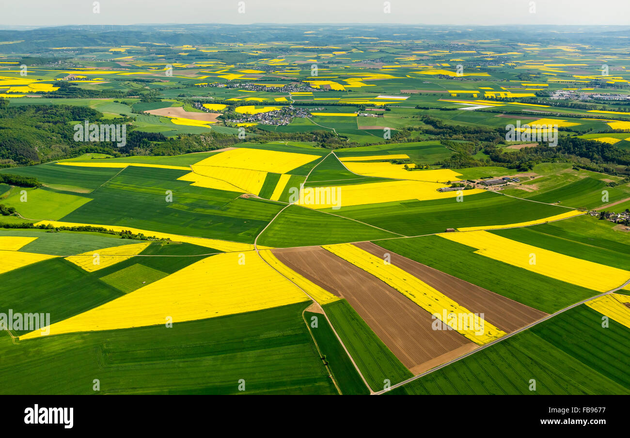 Aerial view, agricultural farmland, fields, yellow flowering canola ...