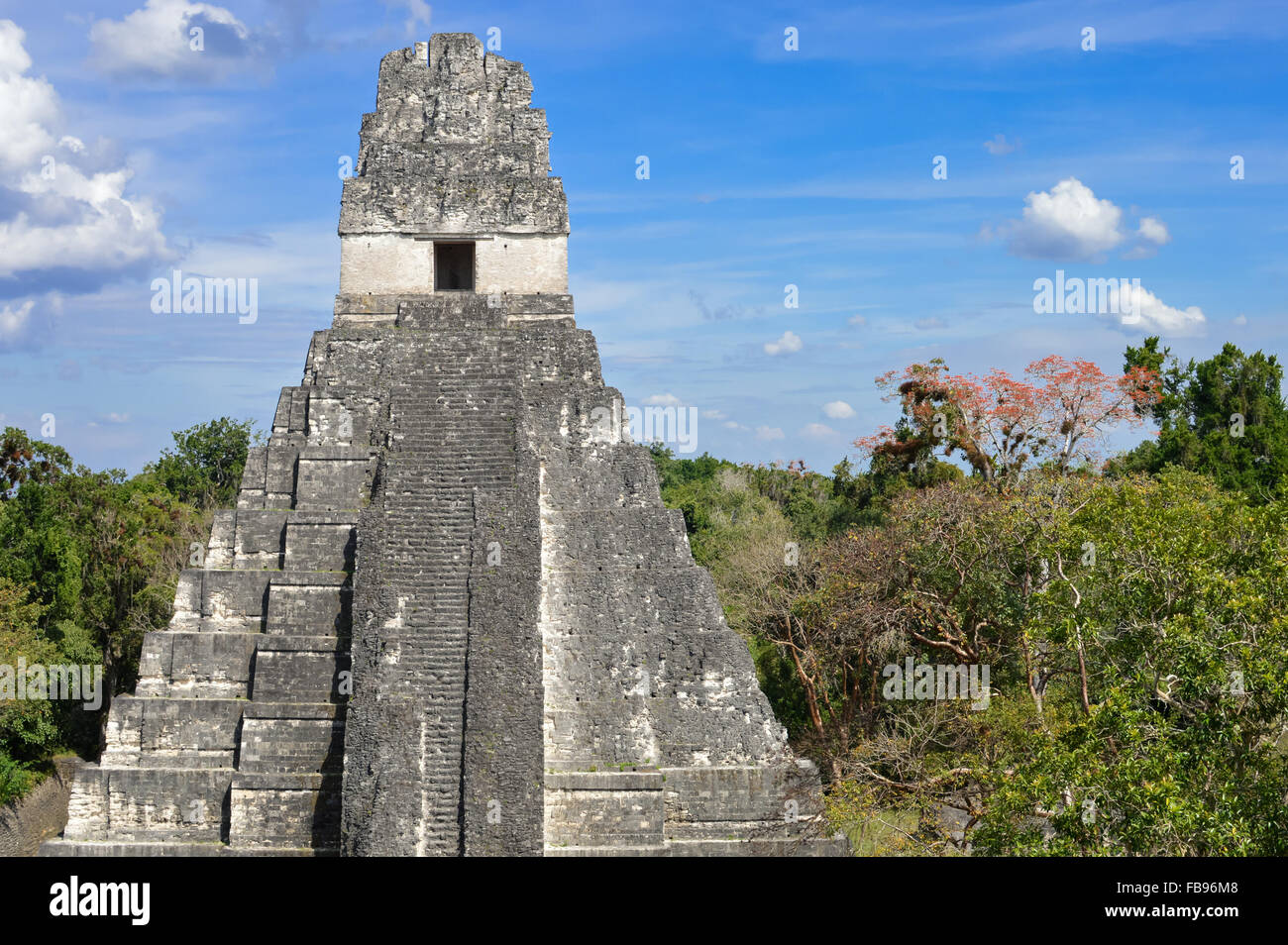 Maya excavation site hi-res stock photography and images - Alamy