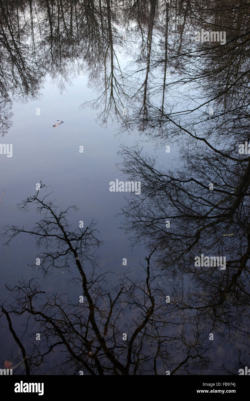 Quentin lake hi-res stock photography and images - Alamy