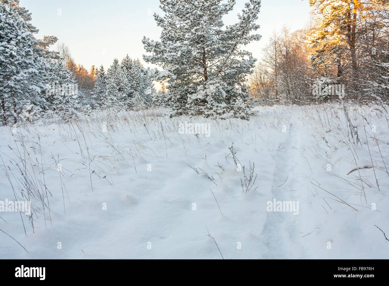 Idyllic Snowy Winter Scene Stock Photo - Alamy