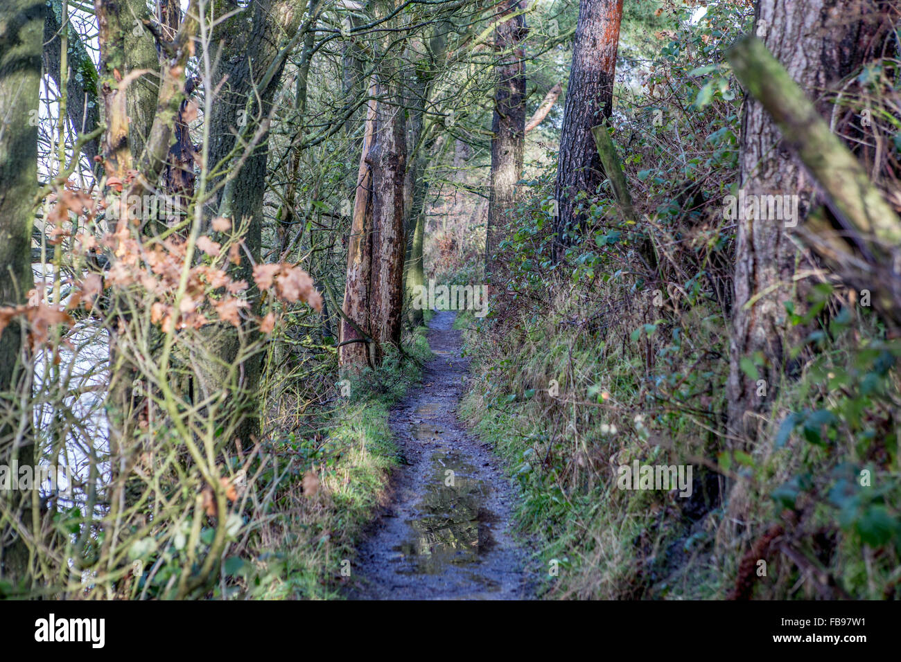 Pleasant countryside walk hi-res stock photography and images - Alamy