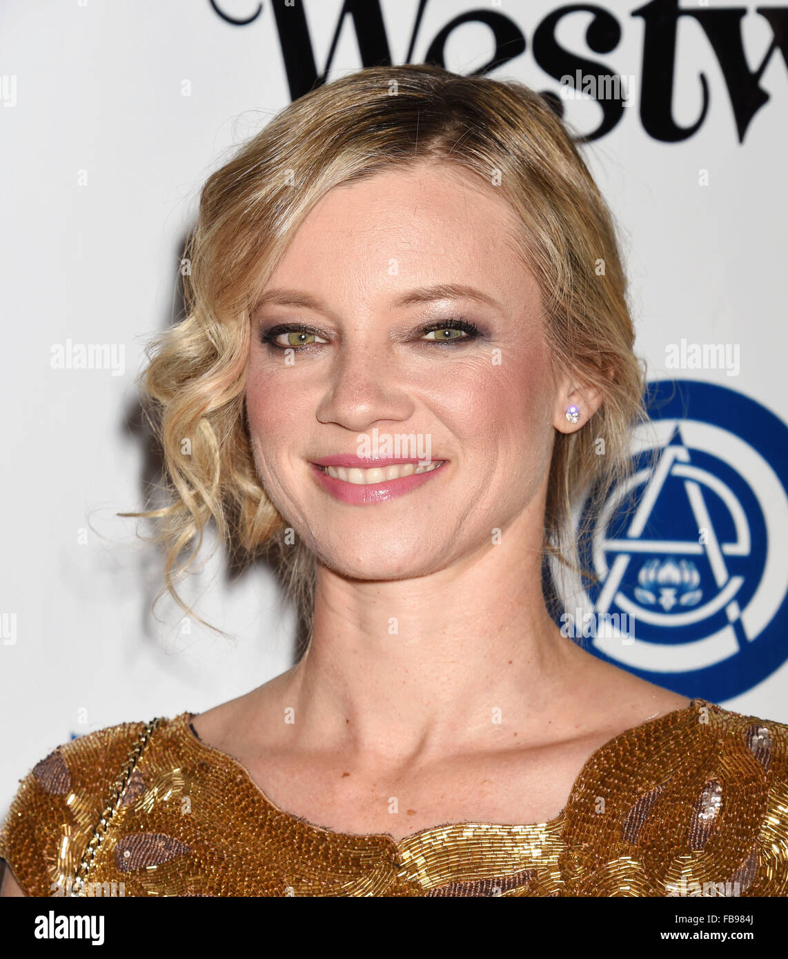 Amy Smart Filmography