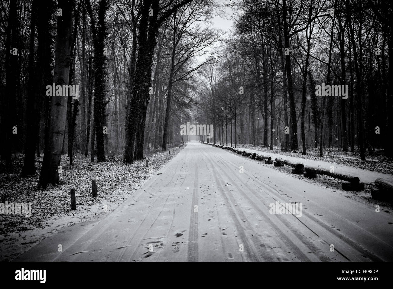 The first snow hi-res stock photography and images - Alamy