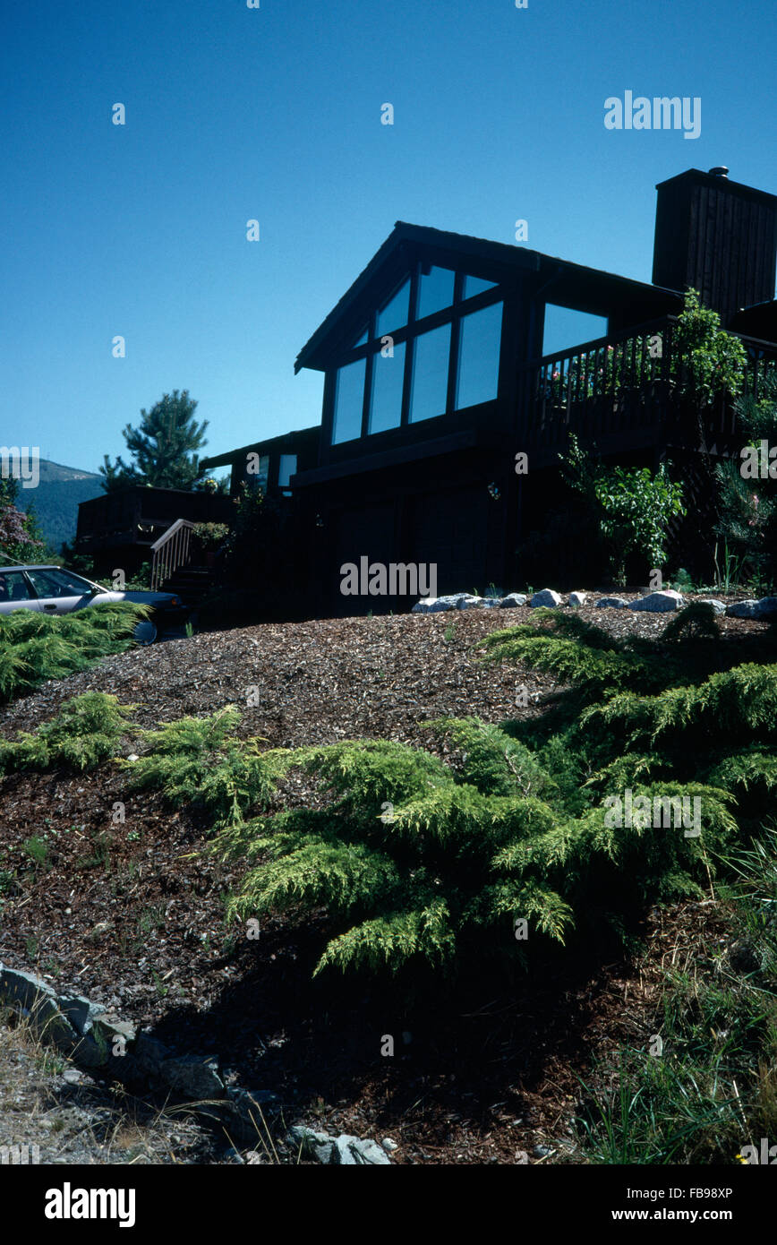 Low growing conifer in sloping front garden of a modern North American ...