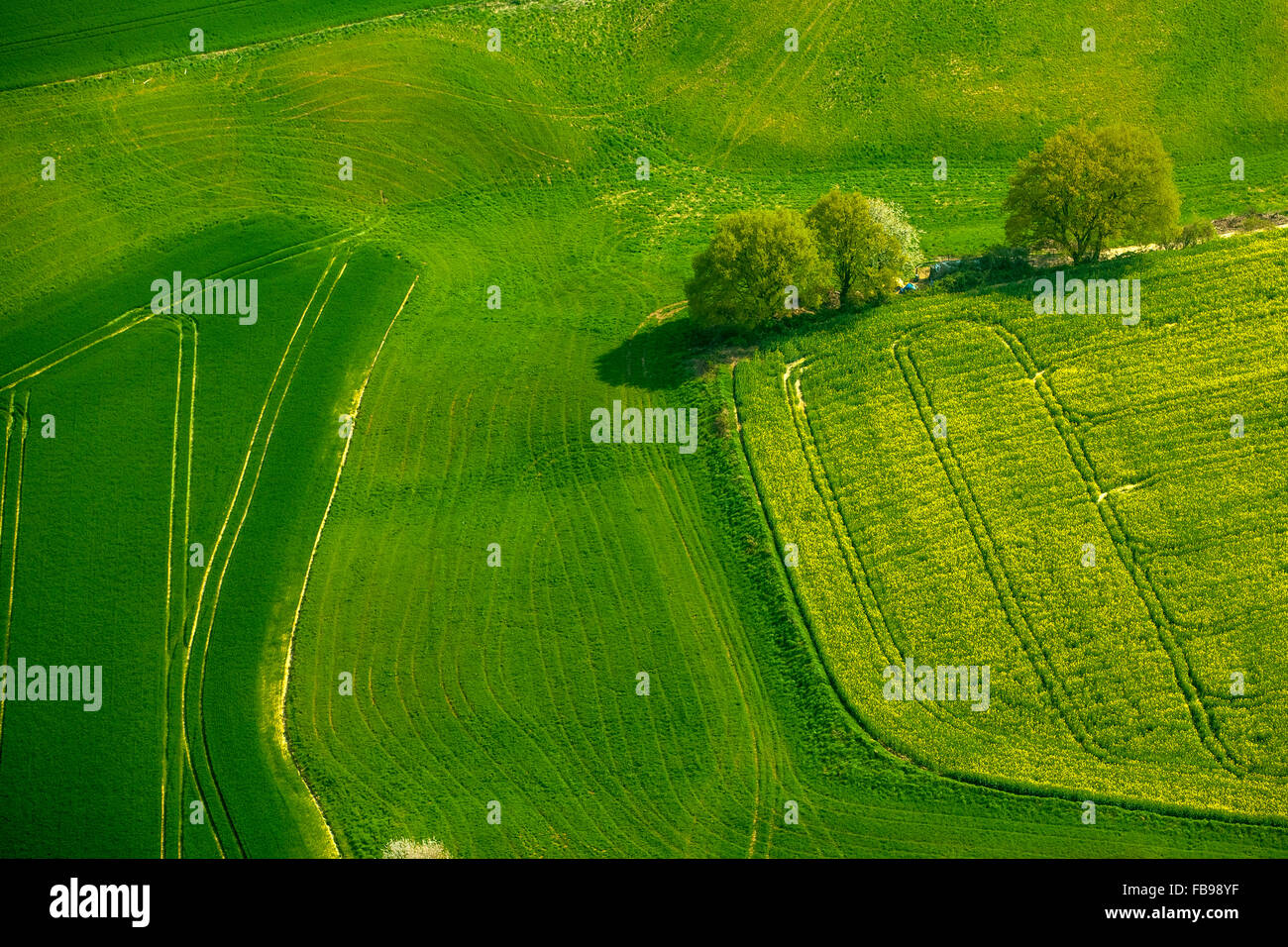 Aerial view, meadows south of Alt-Erkrath, agriculture, Erkrath ...