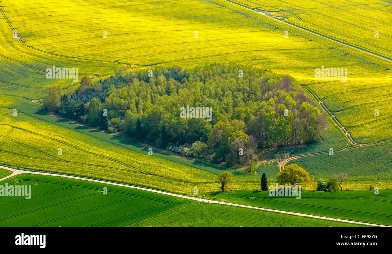 Aerial view canola fields canola hi-res stock photography and images ...